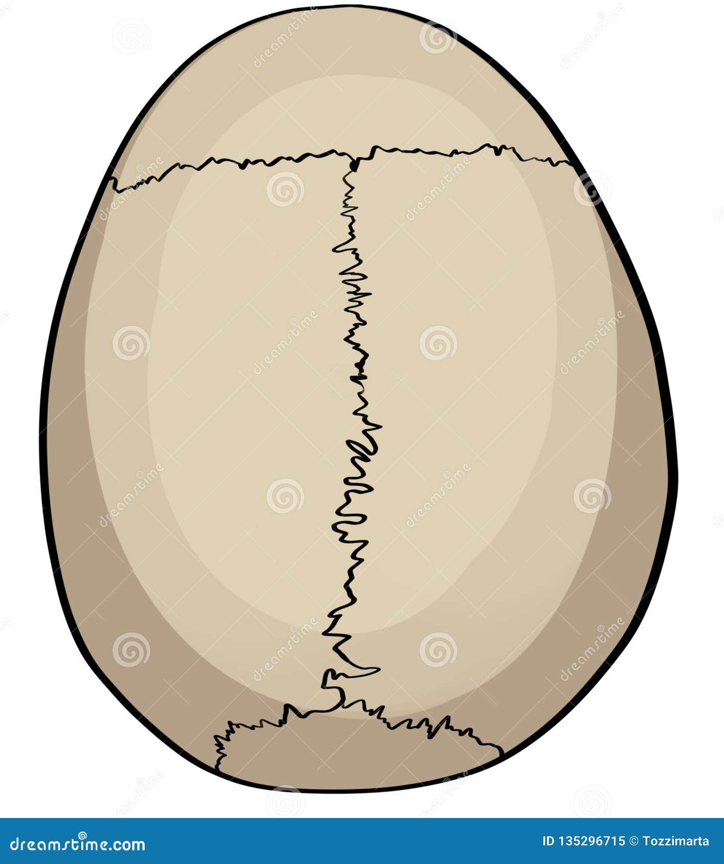 Human skull anatomy stock illustration. Illustration of human - 135296715