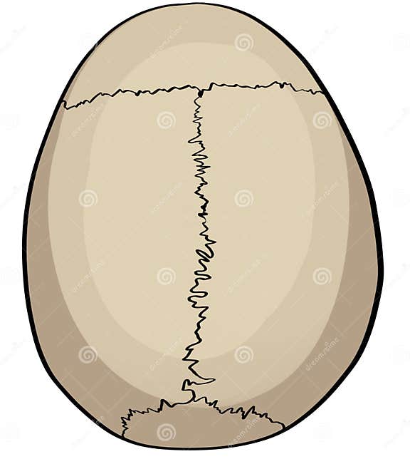 Human skull anatomy stock illustration. Illustration of human - 135296715