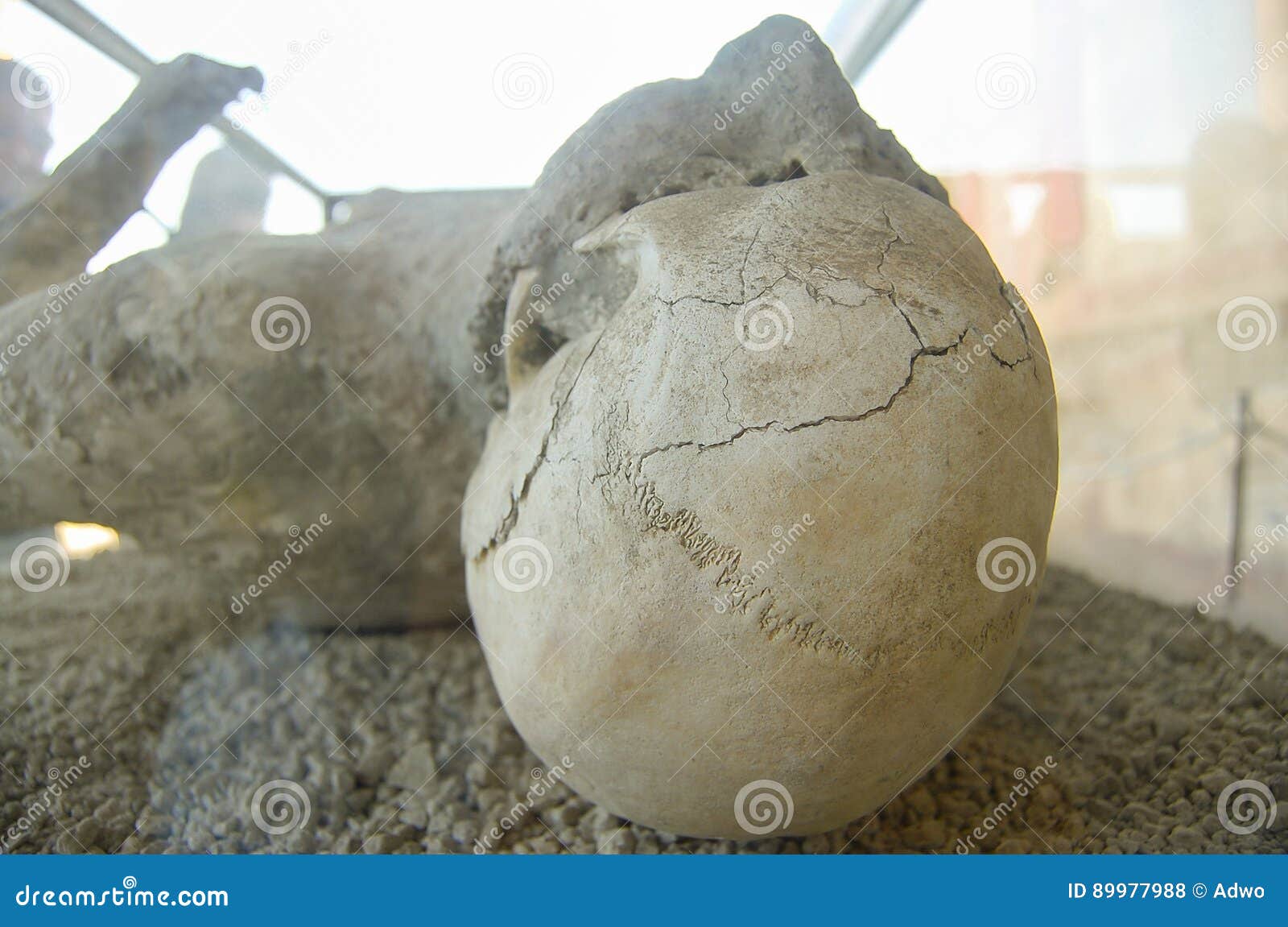 Human Skull in Ash - Pompeii - Italy Stock Photo - Image of dead ...