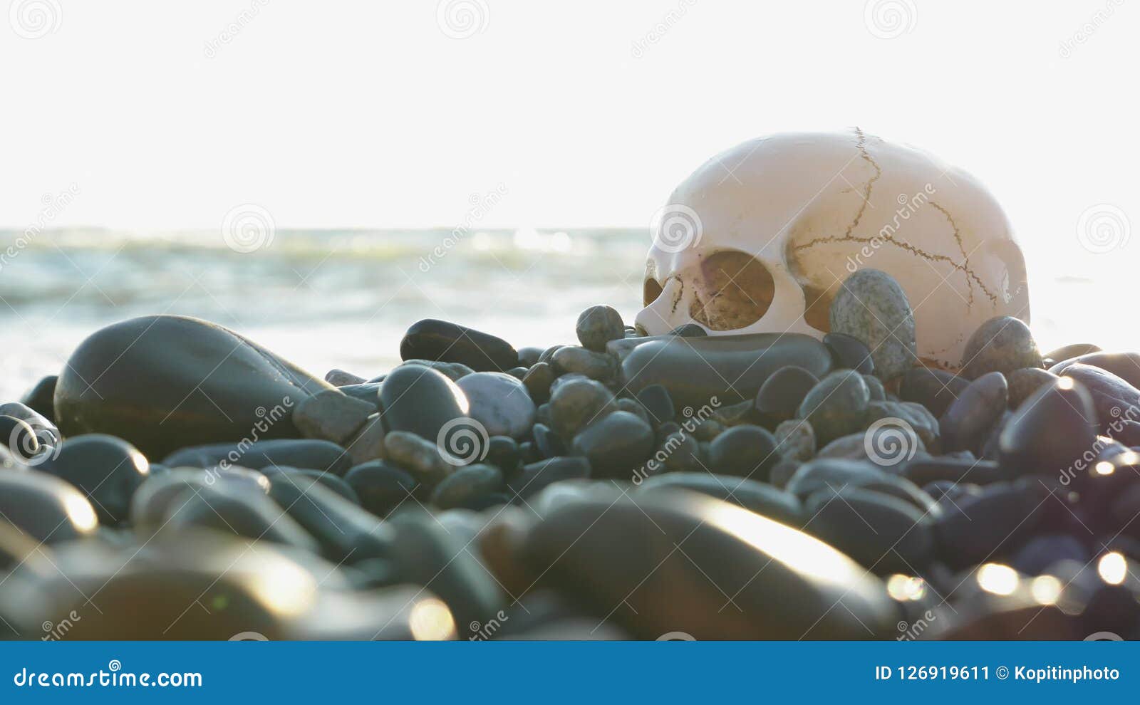 A Human Skull on the Beach, Under the Waves of Water. 4k, Slow Motion ...