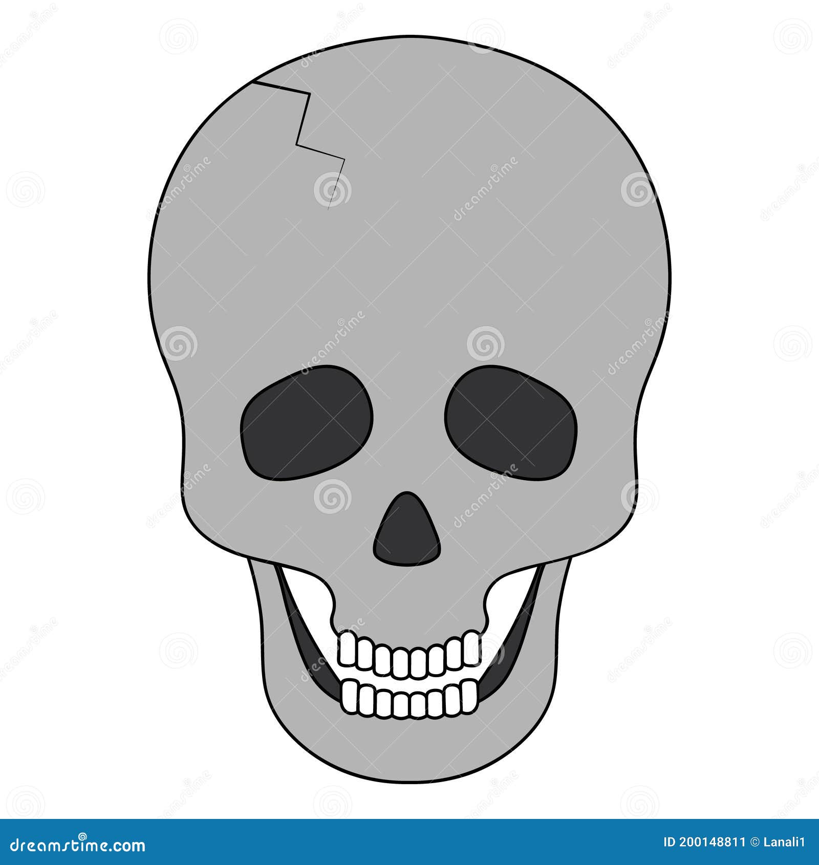 Human Skull. Bone Frame of the Head. Vector Illustration. an Integral ...