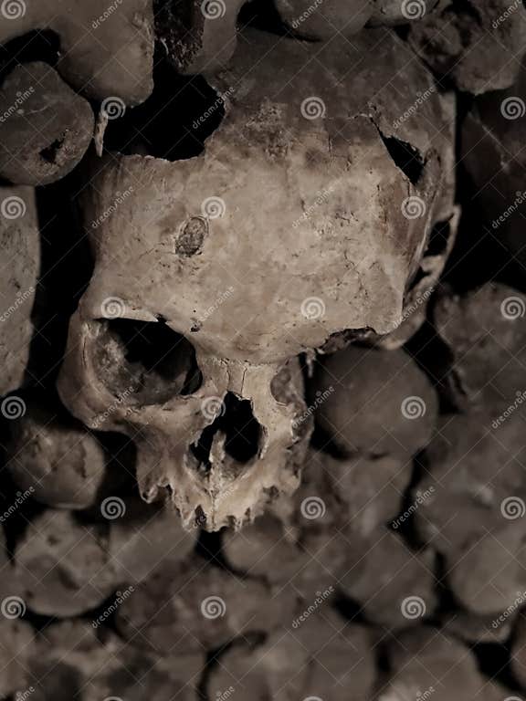 Human skulls and bones stock image. Image of black, corpse - 176348593