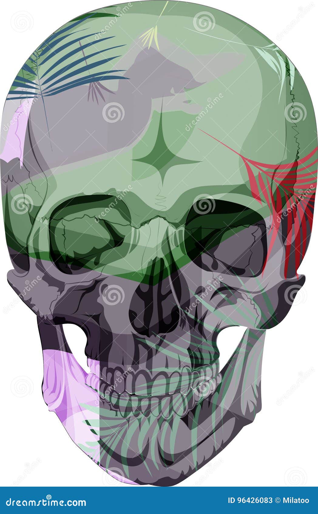 Human Skull Bones Skeleton Dead Stock Vector - Illustration of health ...