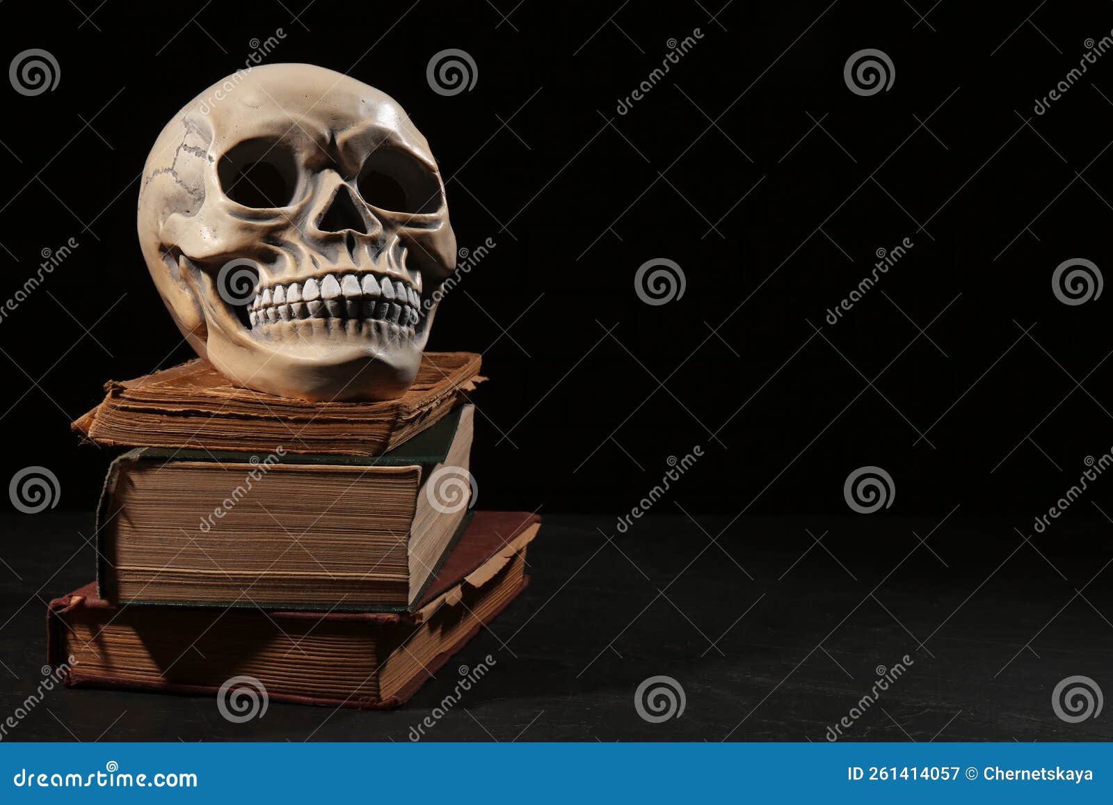 Human Skull with Books on Black Background, Space for Text Stock Image ...