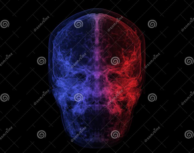 Human Skull, Brain by CT Scan. X-ray Visualization Inside of Skull ...