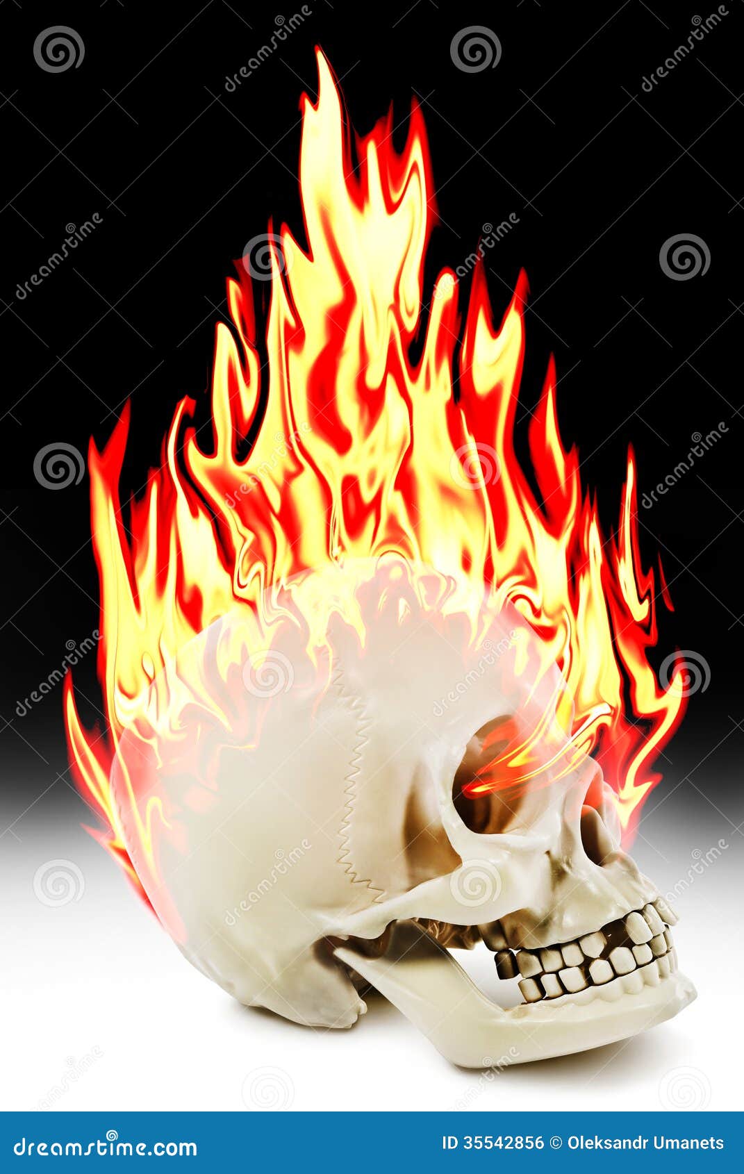 The Human Skull Burning in the Fire Stock Photo - Image of fire, humane ...