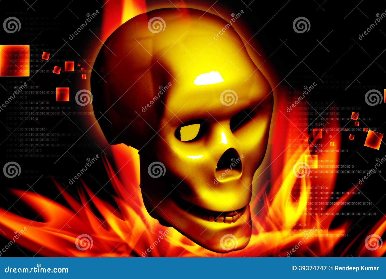 Human skull stock illustration. Illustration of biology - 39374747