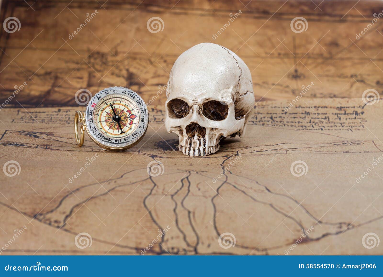 Human Skull and Compass on Old Map Stock Photo - Image of pattern, bone ...
