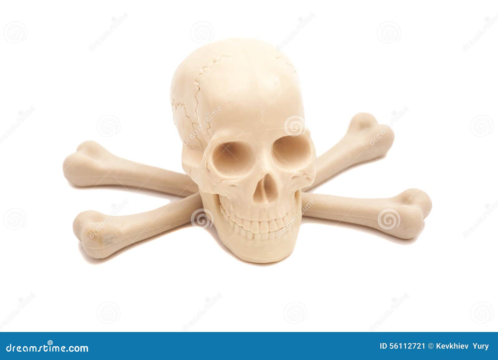 Human Skull with Crossed Bones Stock Image - Image of crossed, anatomy ...