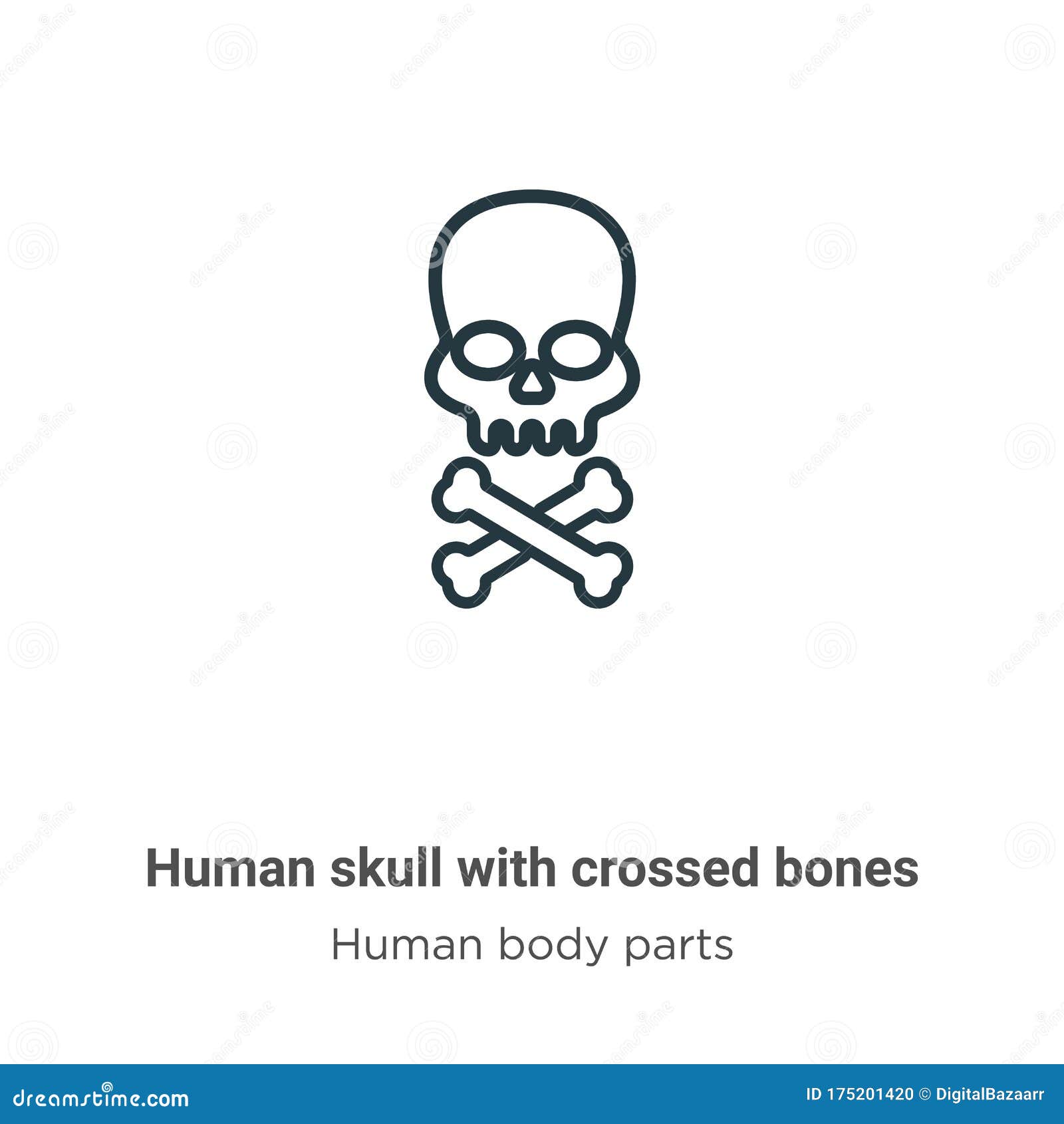 Human Skull With Crossed Bones Outline Vector Icon Thin Line Black