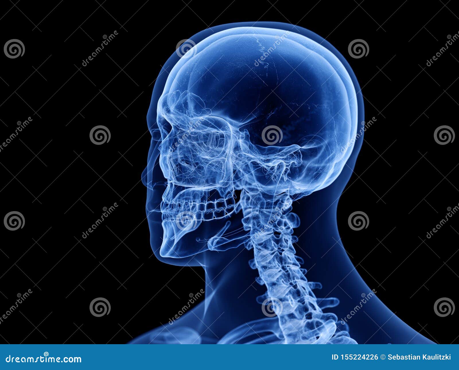 The human skull stock illustration. Illustration of rendered - 155224226