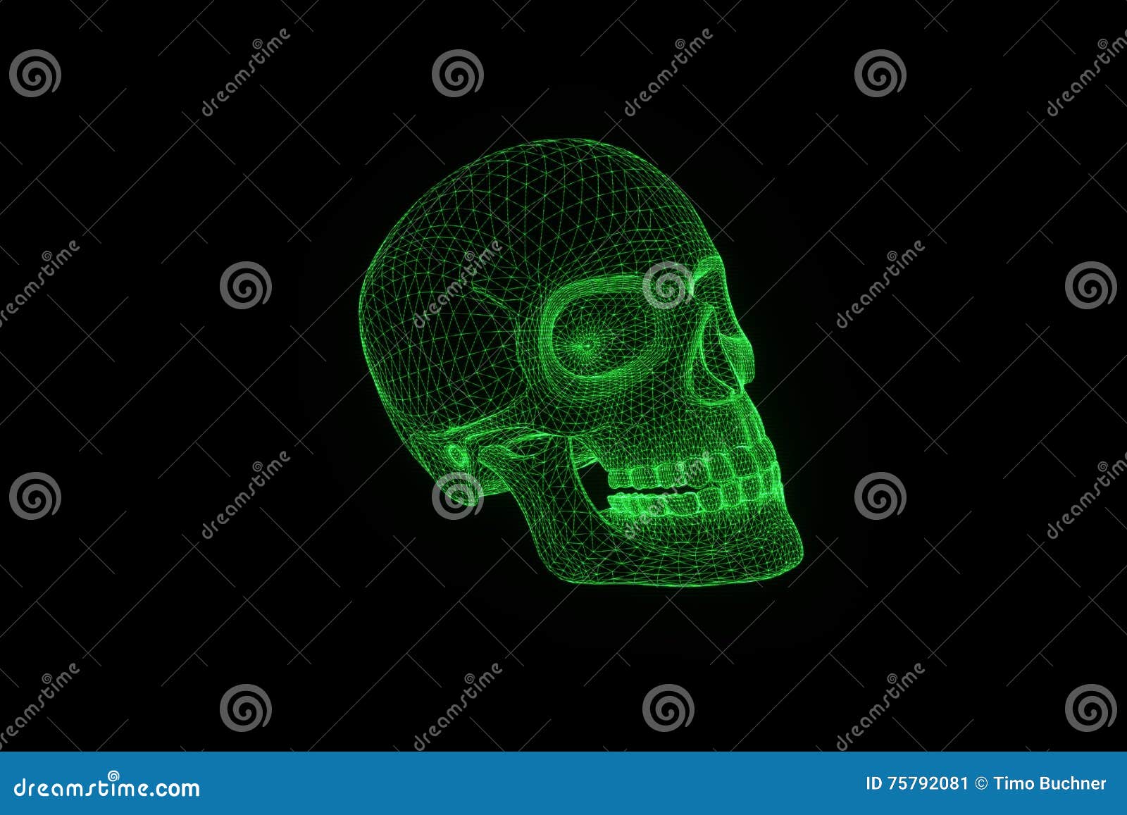 Human Skull 3D Wireframe Hologram in Motion. Nice 3D Rendering Stock ...