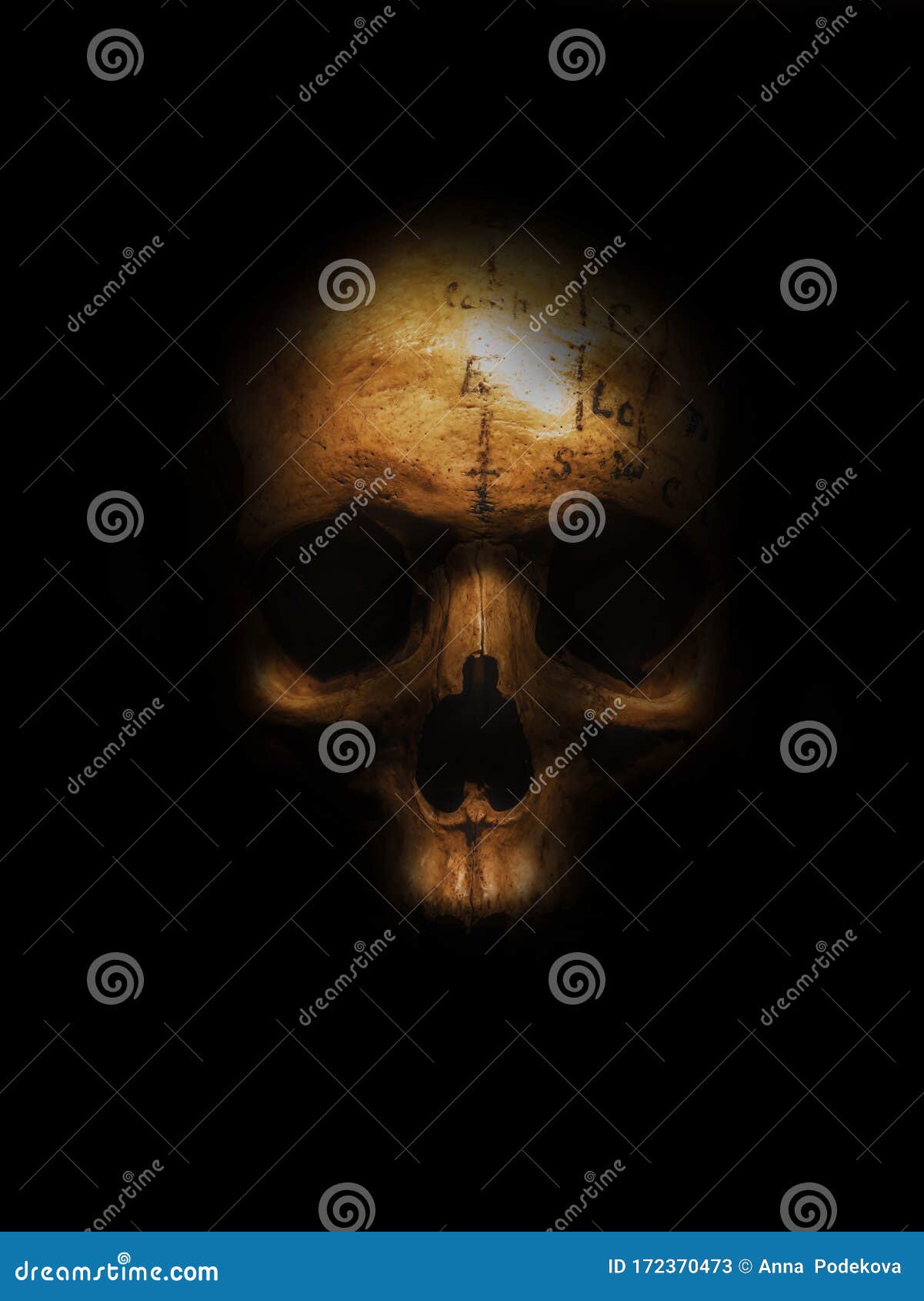 Floating Skull Stock Photo | CartoonDealer.com #43863150