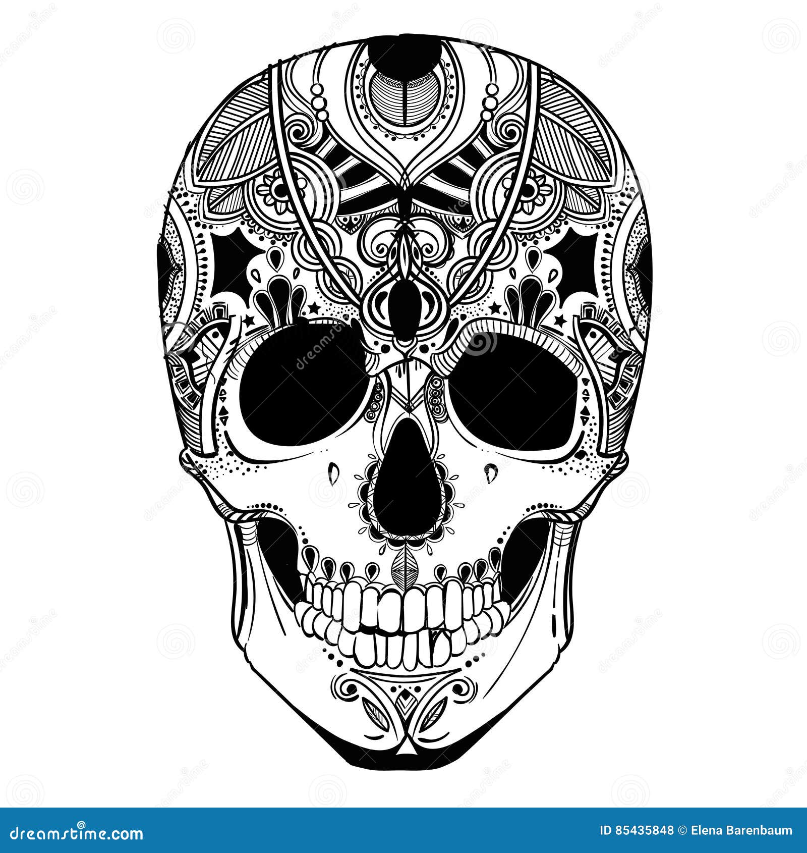 Human Skull with Decorative Elements Stock Vector - Illustration of ...