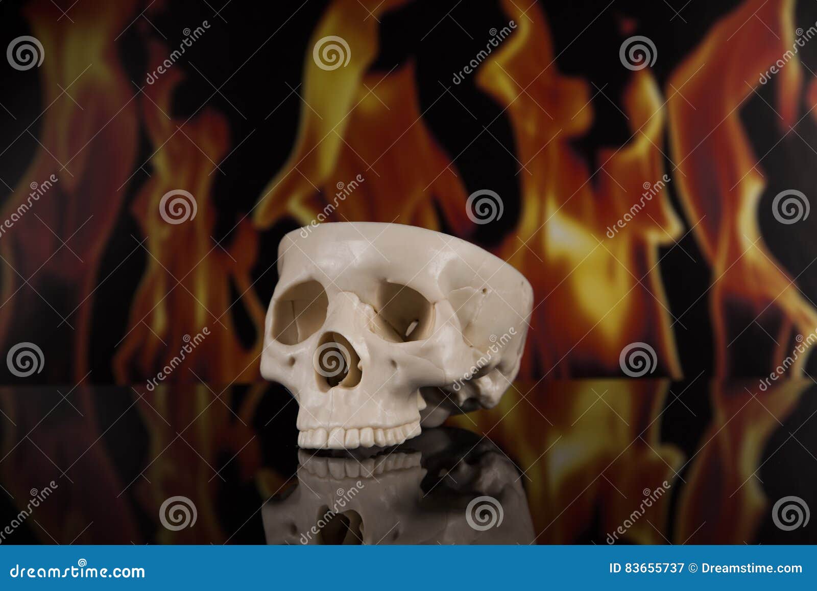 Human skull on fire stock image. Image of reflection - 83655737
