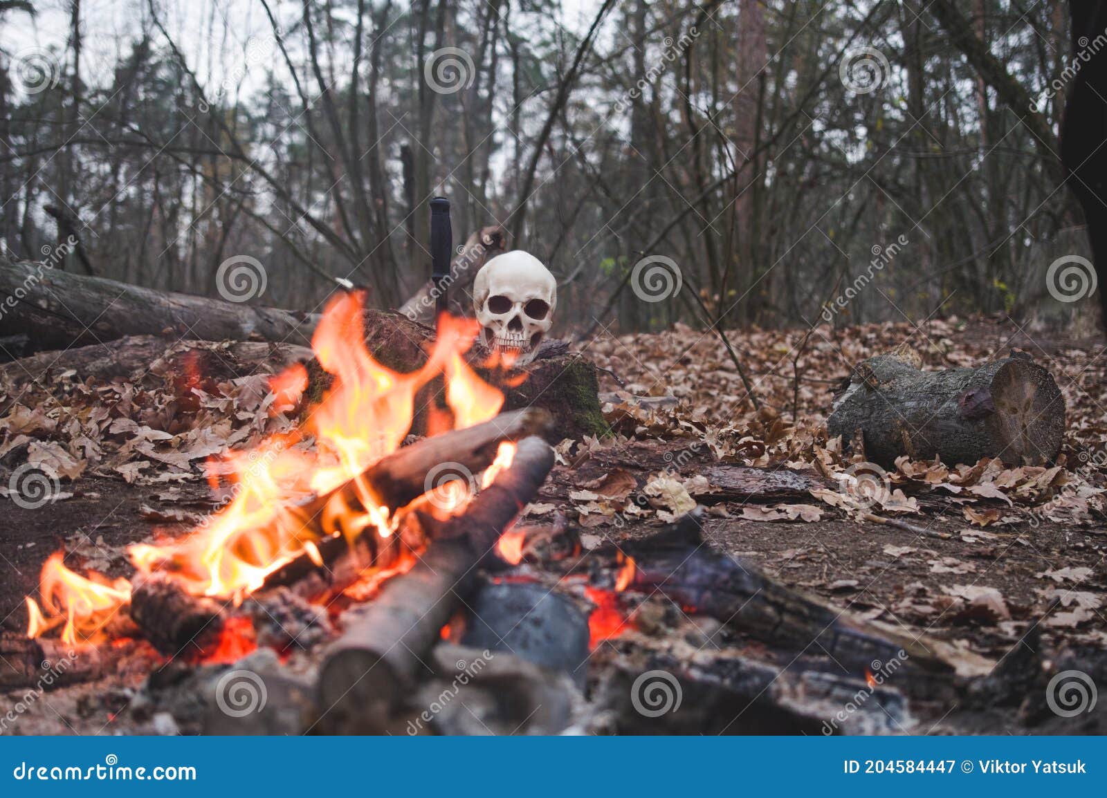 Human Skull on Fire. Skull Behind Fire Stock Image - Image of ...