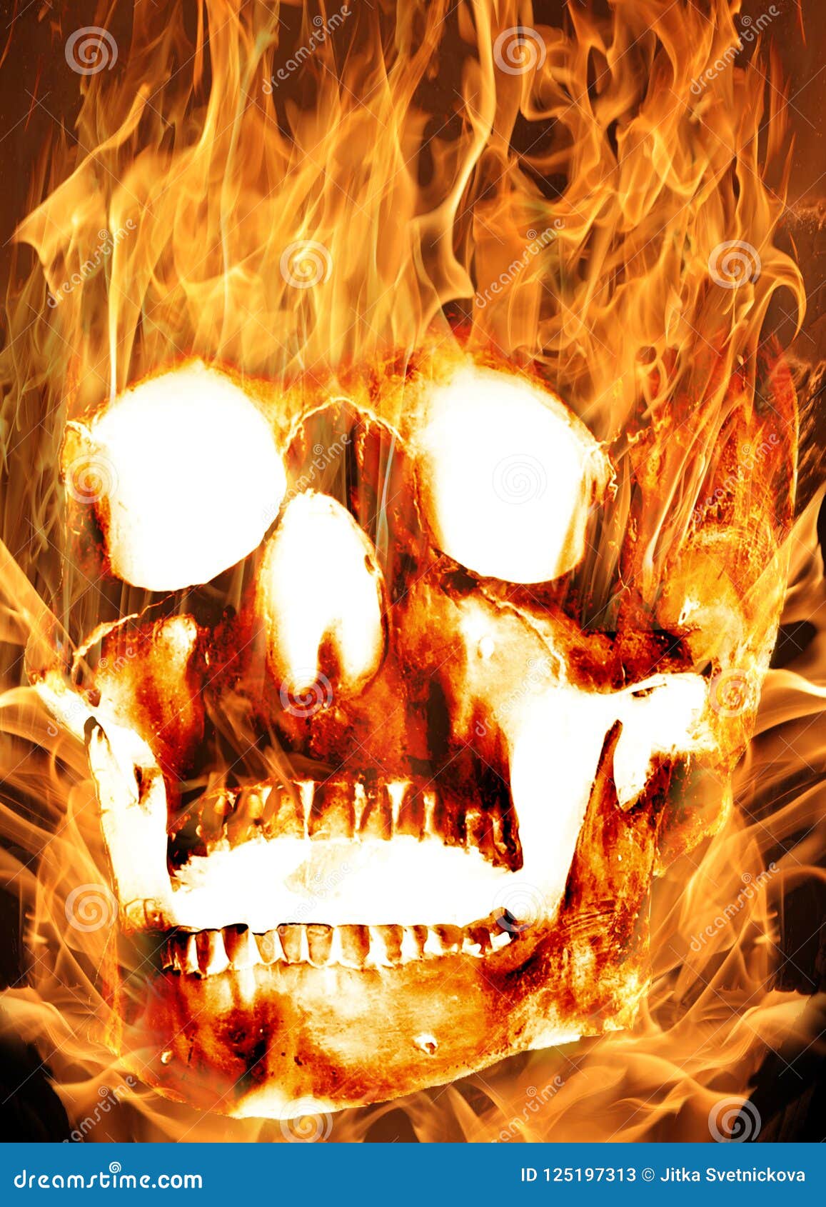 Human skull in flames stock image. Image of flames, fire - 125197313