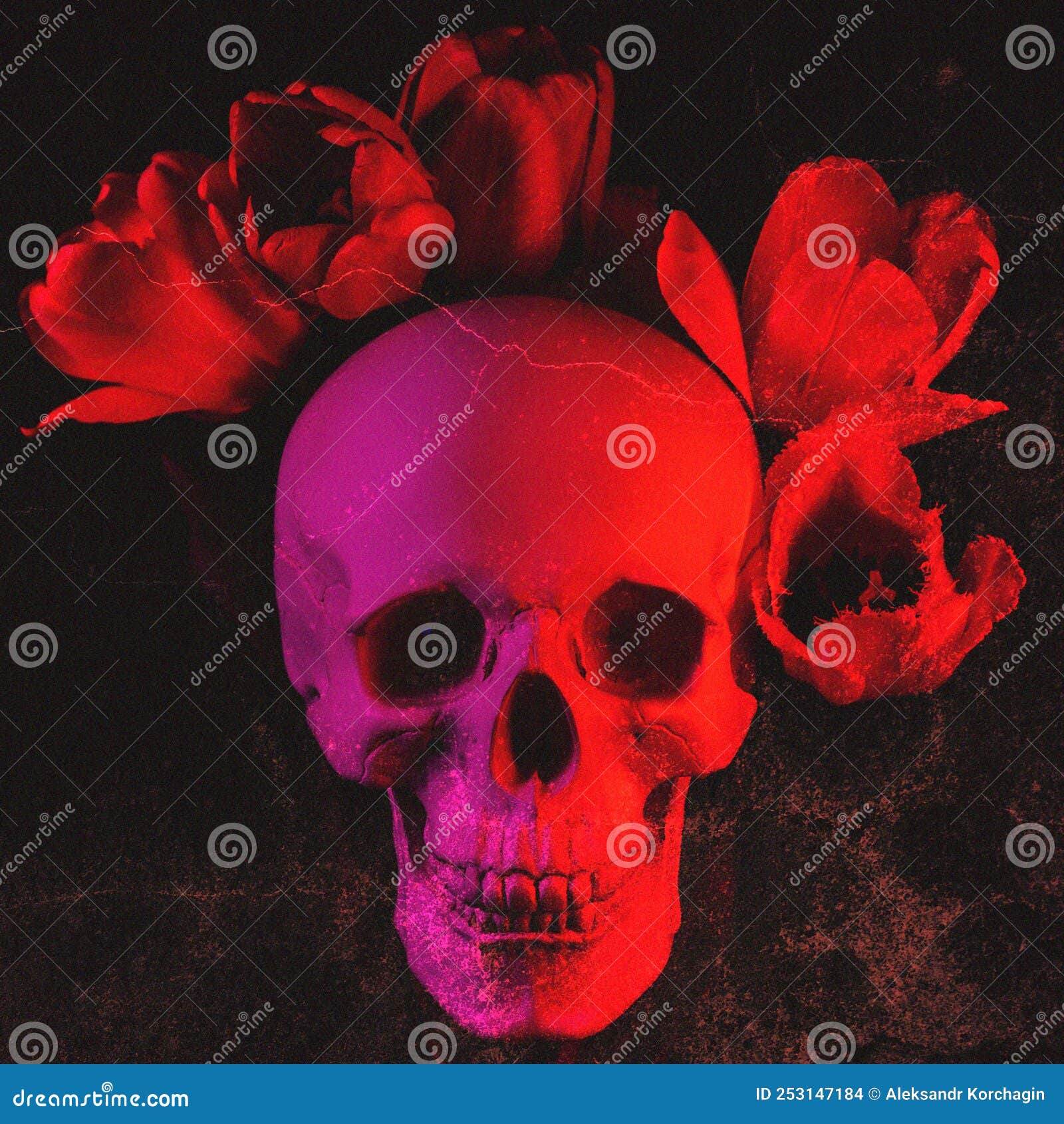 Human Skull with Flowers with Texture Aging Stock Photo - Image of ...