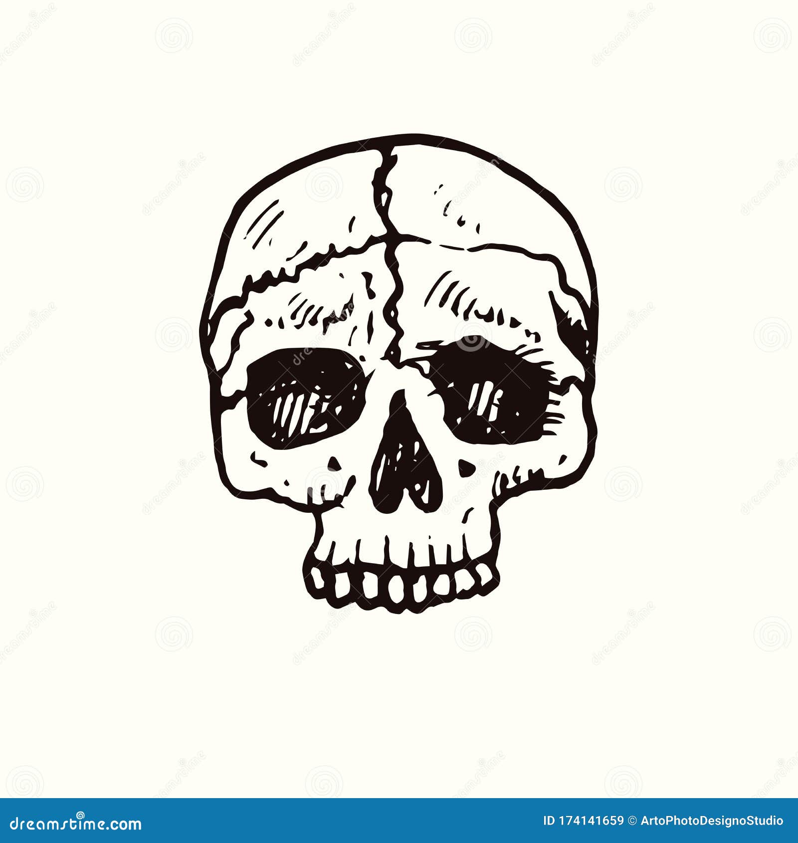Human Skull Front View, Hand Drawn Doodle, Drawing, Sketch Illustration ...