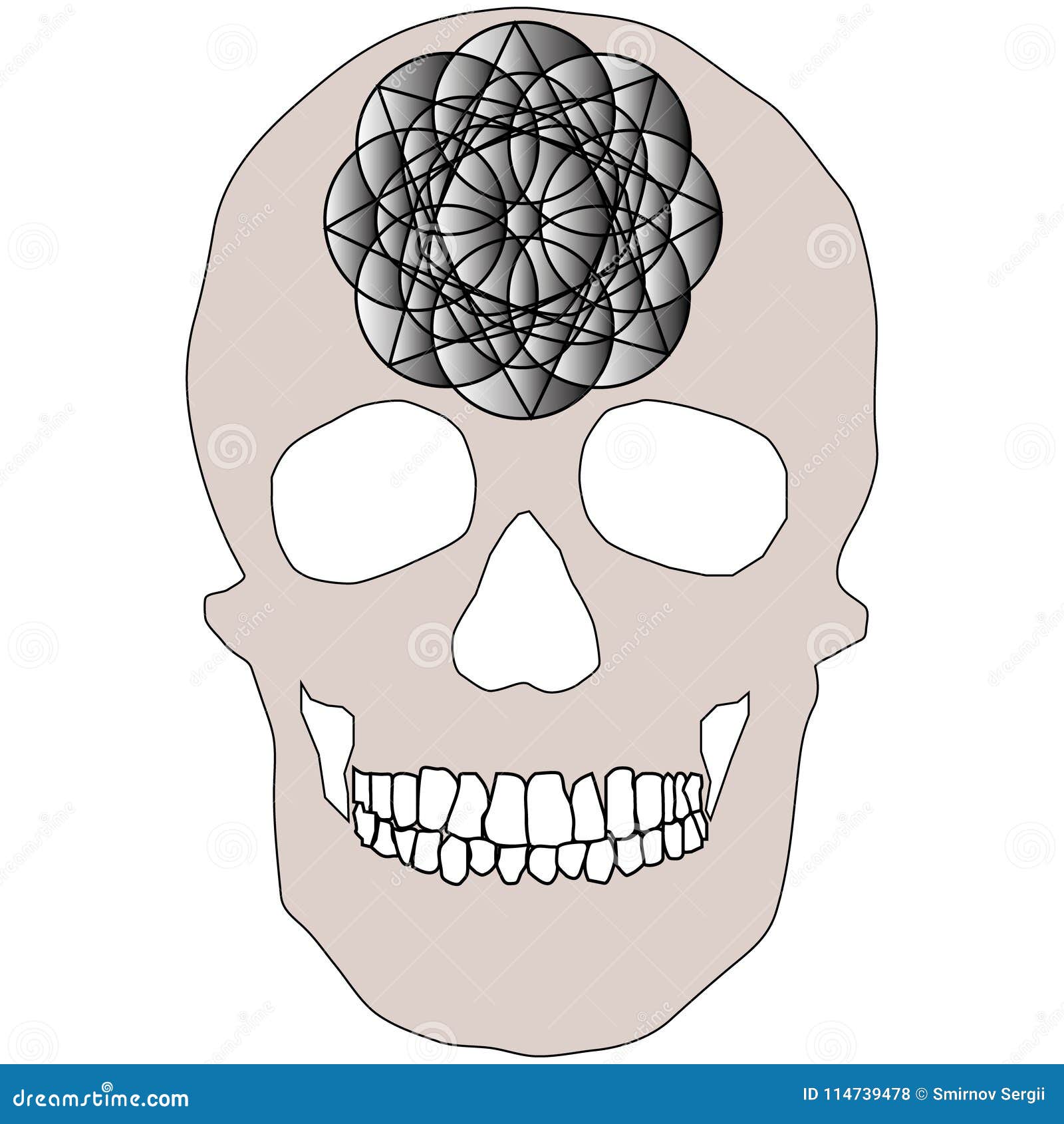 Human Skull Geometry and Design Stock Illustration - Illustration of ...