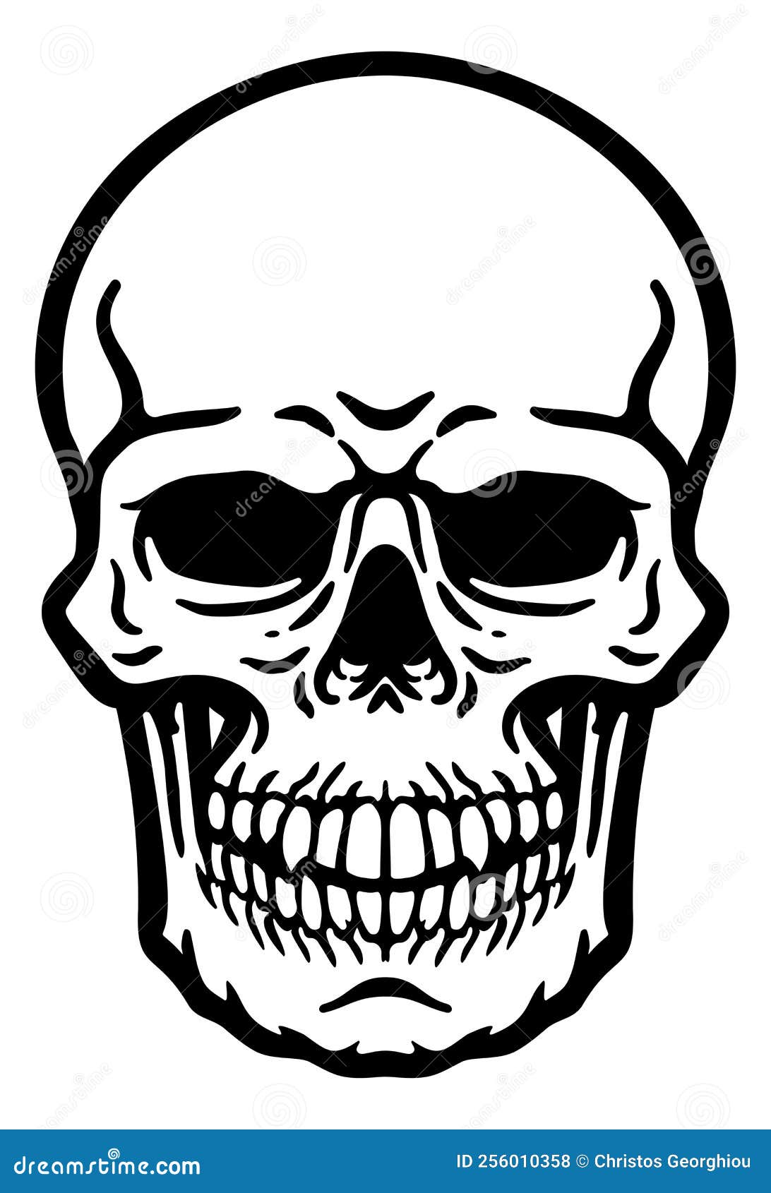 Skeleton Head Of A Ichthyornis, Vintage Illustration Cartoon Vector ...