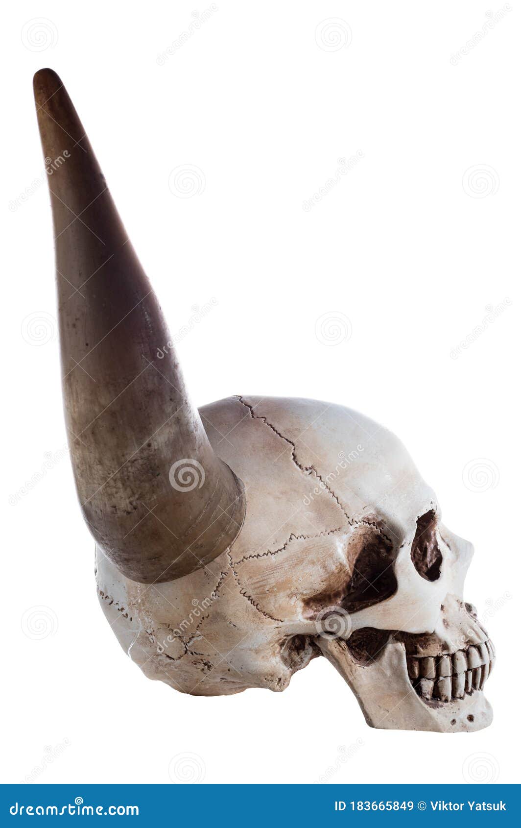 Human Skull with a Horn View from the Side. Isolate Stock Image - Image ...