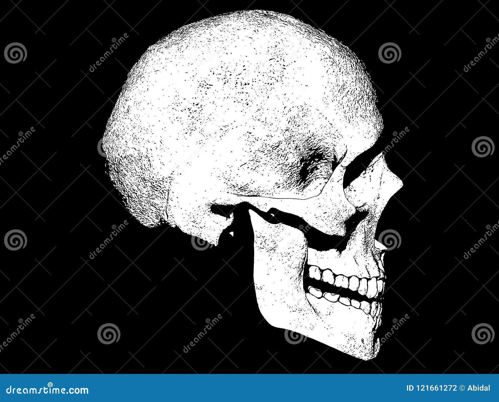 Screaming Human Skull