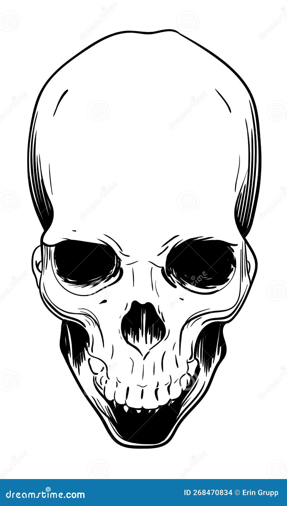 Human Skull Looking Down Black and White Illustration Stock ...