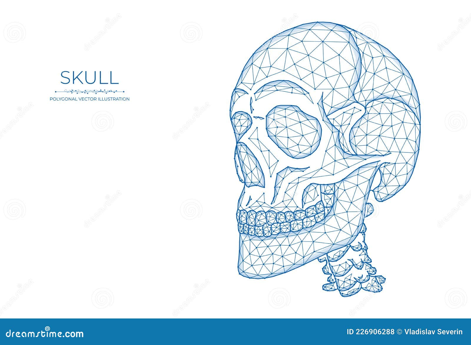 Human skull low poly art. stock vector. Illustration of graphic - 226906288