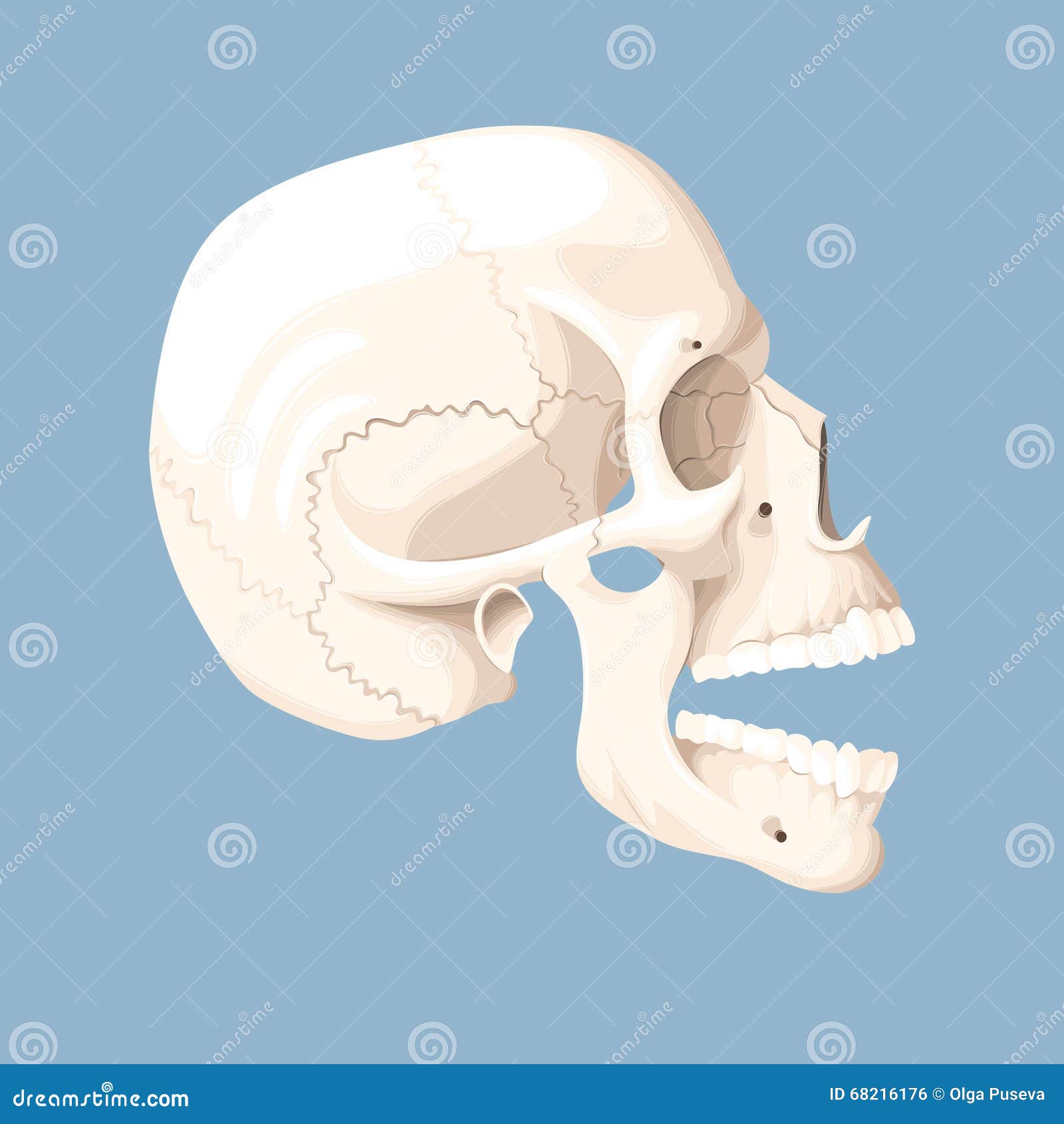 Skull Open Mouth Fire. Head Of Skeleton Open Lower Jaw. Vector I ...