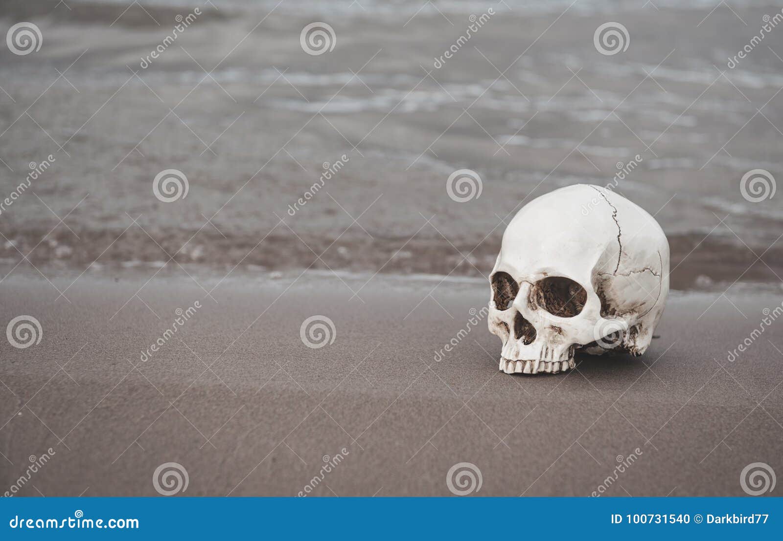 Human Skull on the Sand. Halloween Background Stock Photo - Image of ...
