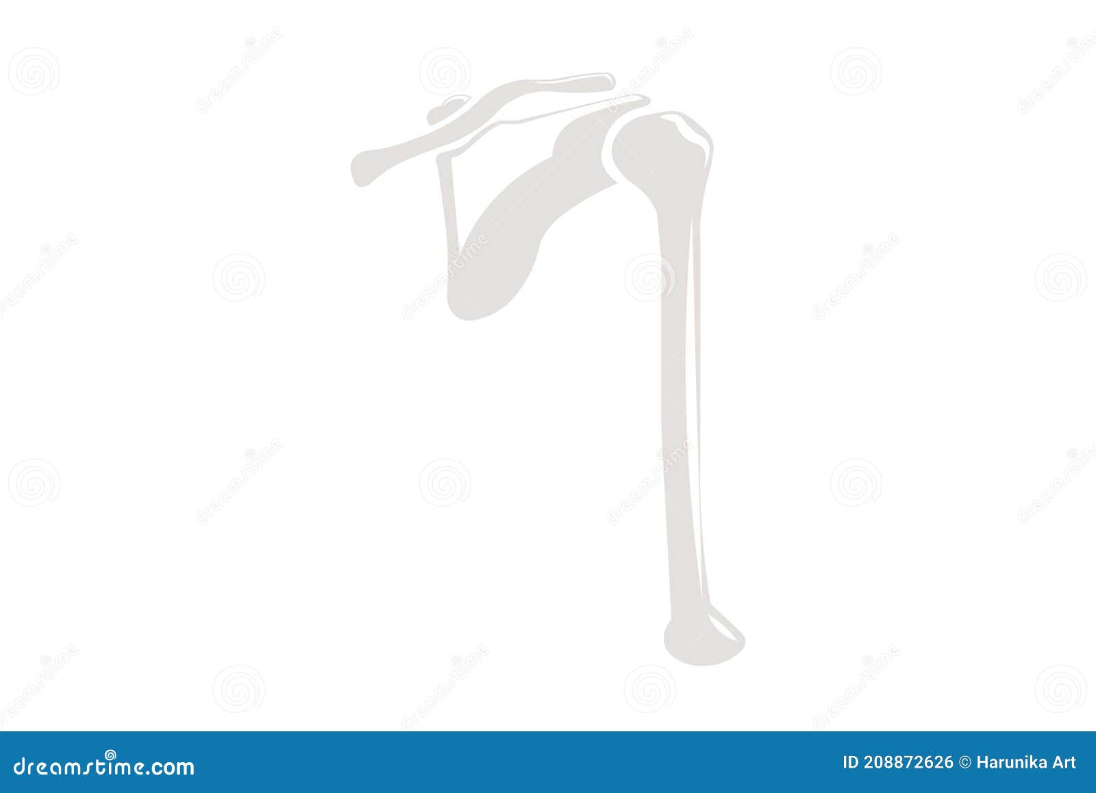 Skull, Skeleton, Anatomy, Bone, Head Icon. Element Of History Color ...