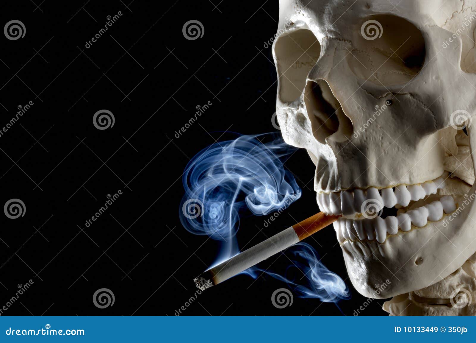 Human Skull Smoking Cigarette Stock Image - Image of bones, single ...