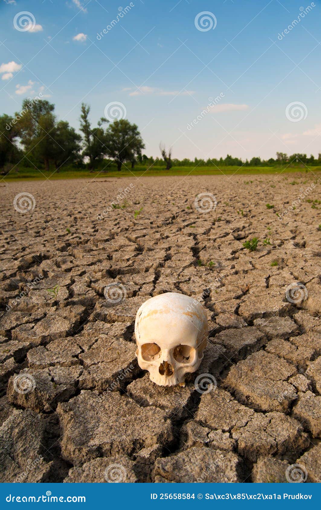 Human Skull on the Soil of Dried Out Lake Stock Photo - Image of global ...