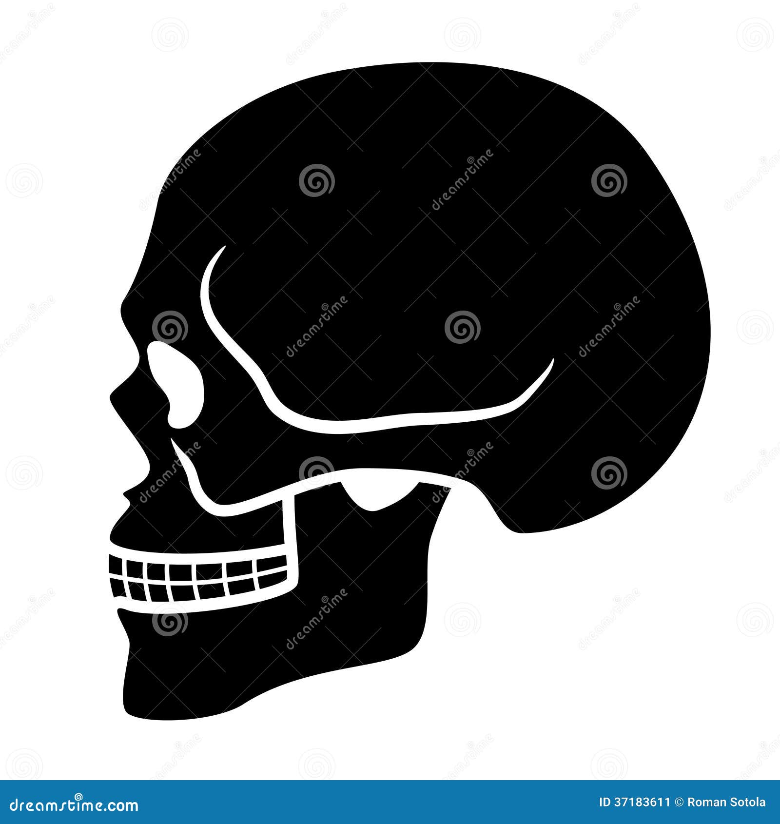 Human Skull Symbol - Side View Stock Vector - Illustration of human ...