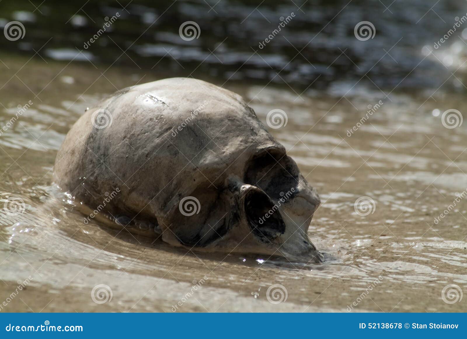 Human Skull Thrown from the Sea on the Shore Stock Photo - Image of ...