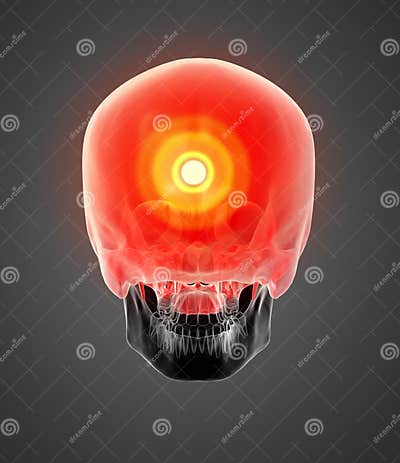 Human Skull. Upper half stock illustration. Illustration of science ...