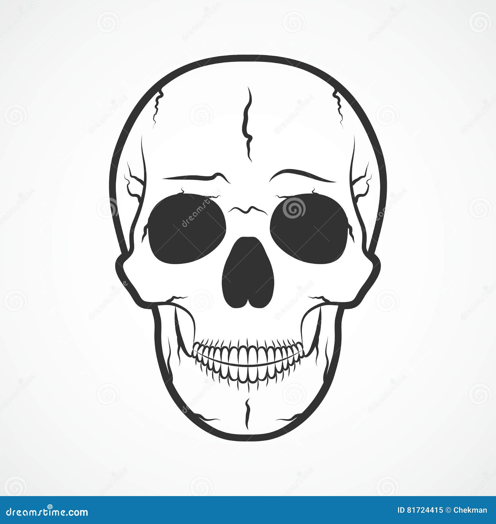 Human Skull. Vector Illustration. Stock Illustration - Illustration of ...