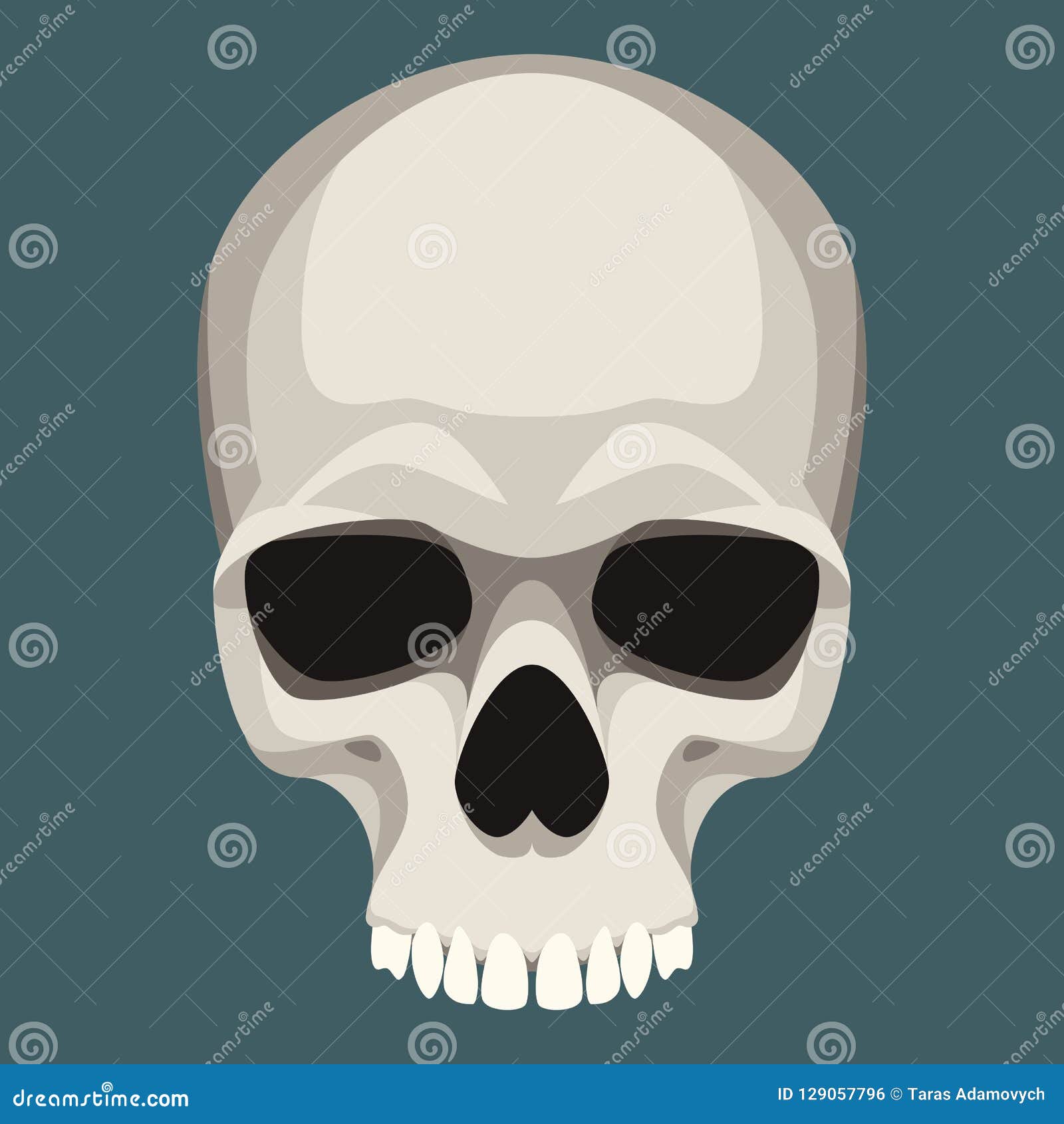 Human Skull Vector Illustration Flat Style Front Stock Vector ...