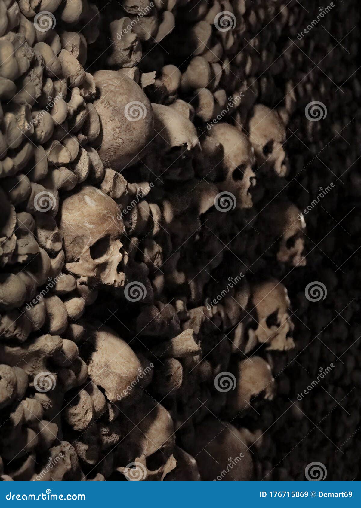 Human skulls and bones editorial stock image. Image of corpse - 176715069
