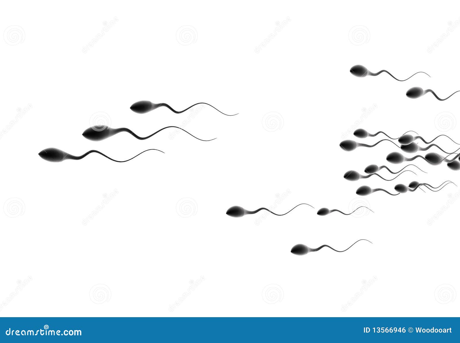 Human Sperm And Egg Fusion Diagram Cartoon Vector | CartoonDealer.com ... Human Sperm And Egg Fusion Diagram Cartoon Vector | CartoonDealer.com ...