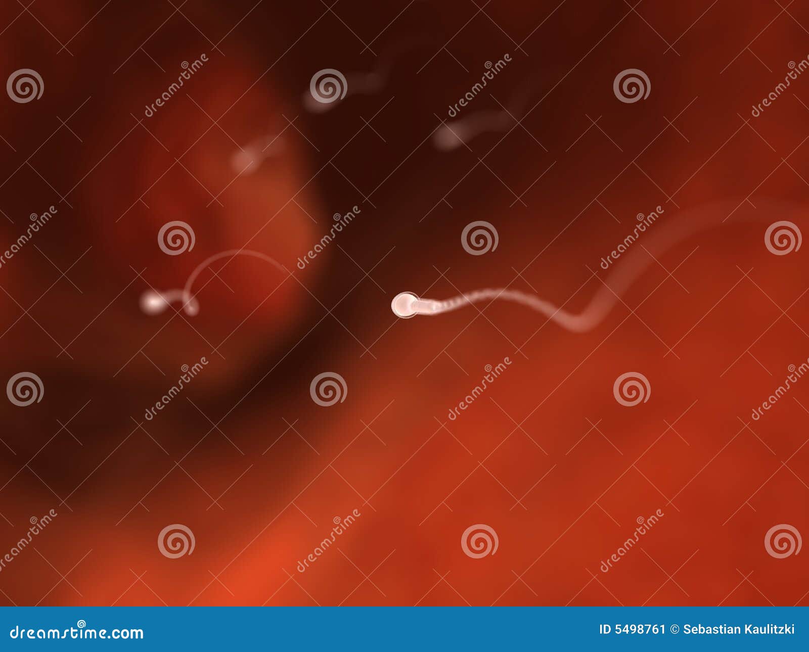 Human sperm stock illustration. Illustration of competition - 5498761