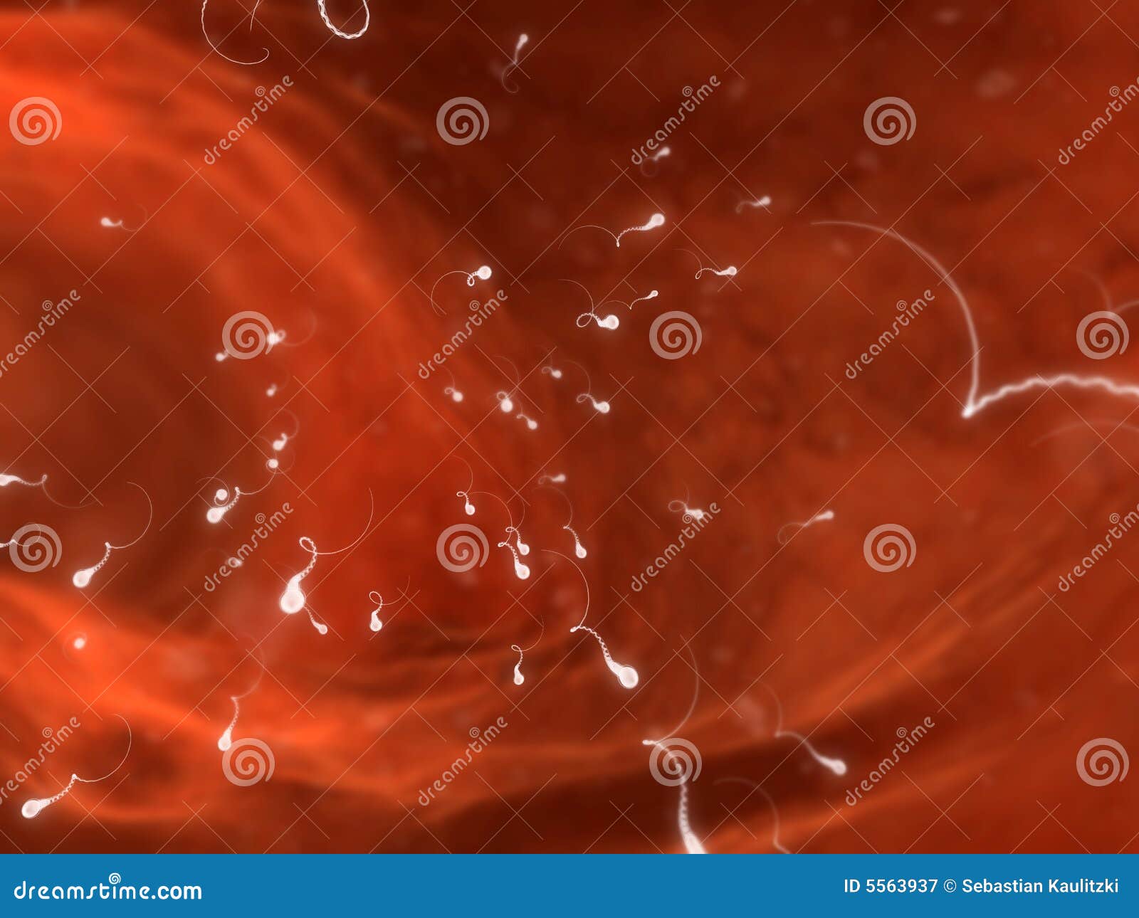 Human Sperm Cell On Microscope. Scientific Background, Natural ...