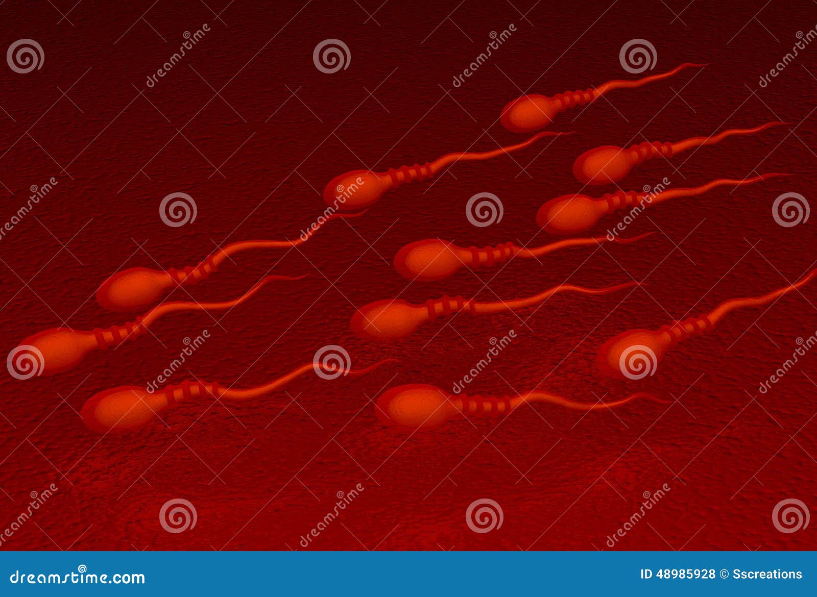 Human Sperm Cell stock illustration. Illustration of infertility - 48985928