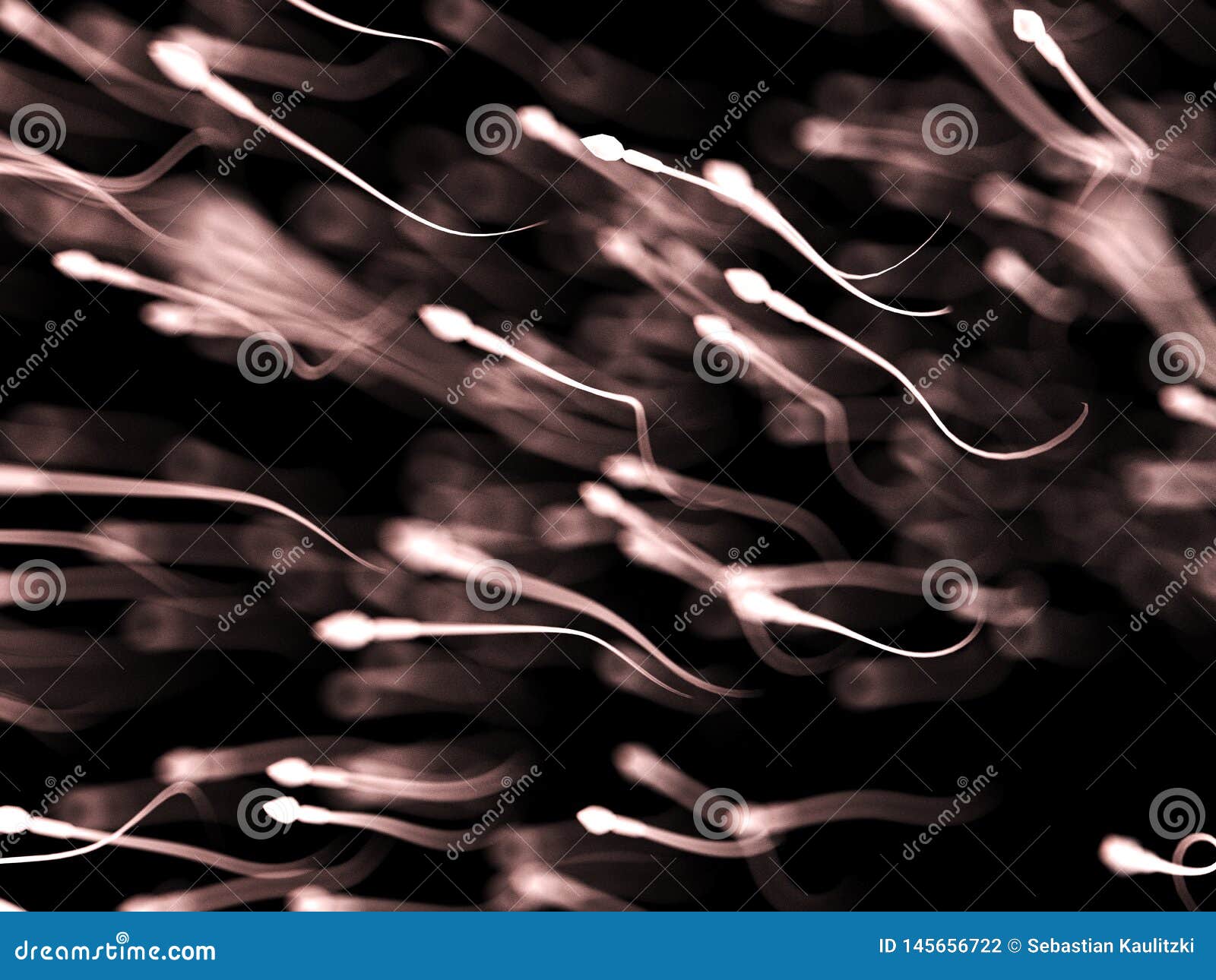 Human sperm stock illustration. Illustration of fertilize - 145656722