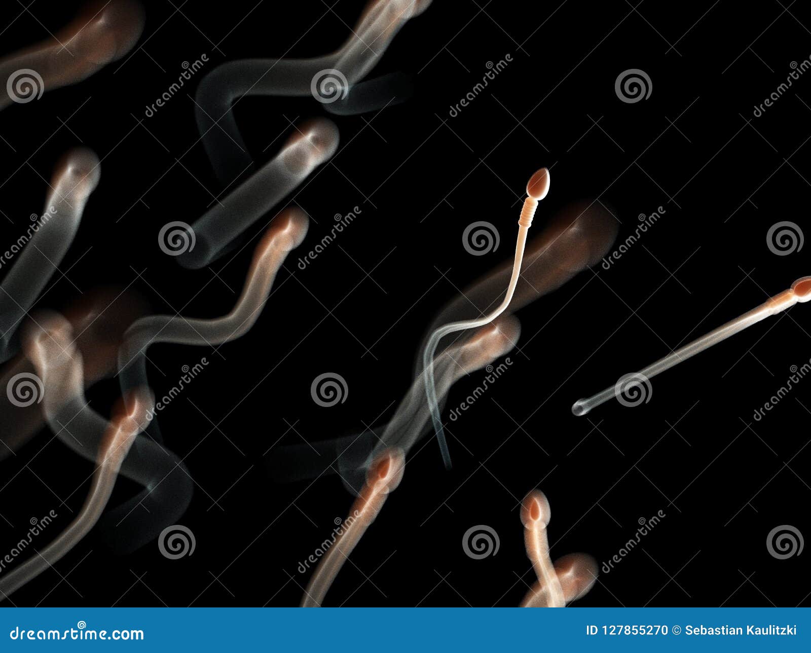 Human sperm stock illustration. Illustration of life - 127855270