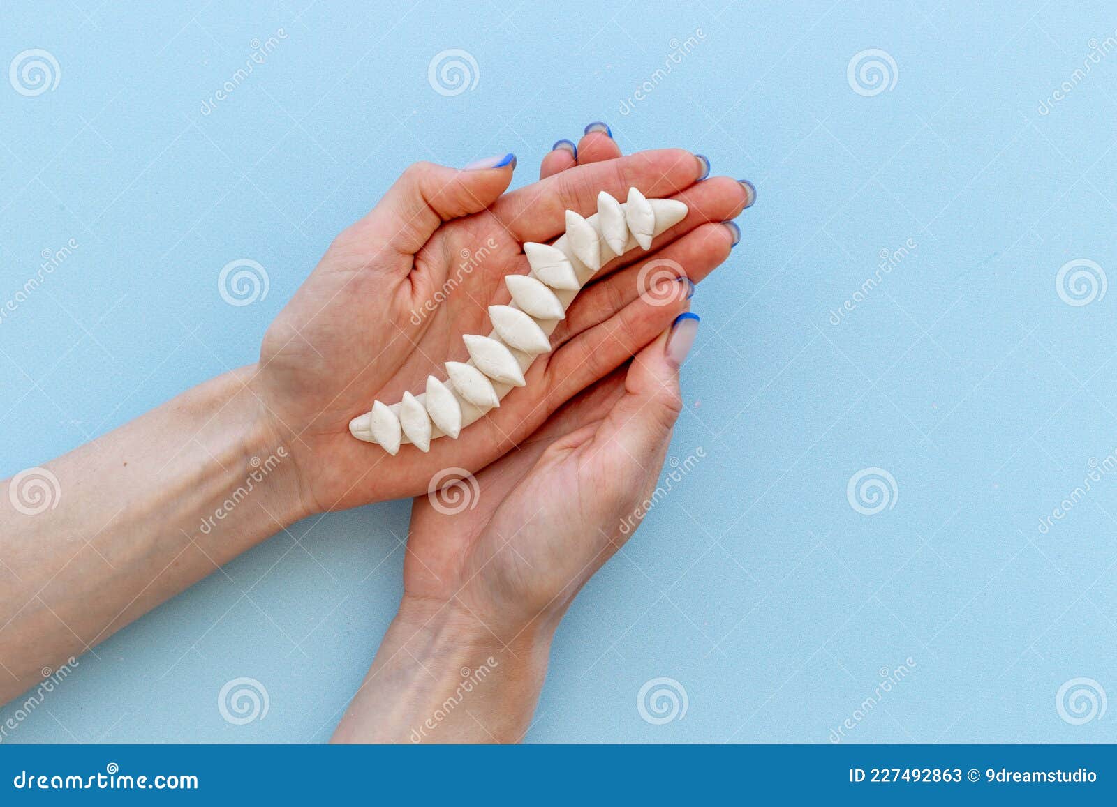 Human Spinal Column in Hands. Spinal Health and Diseases Concept Stock ...