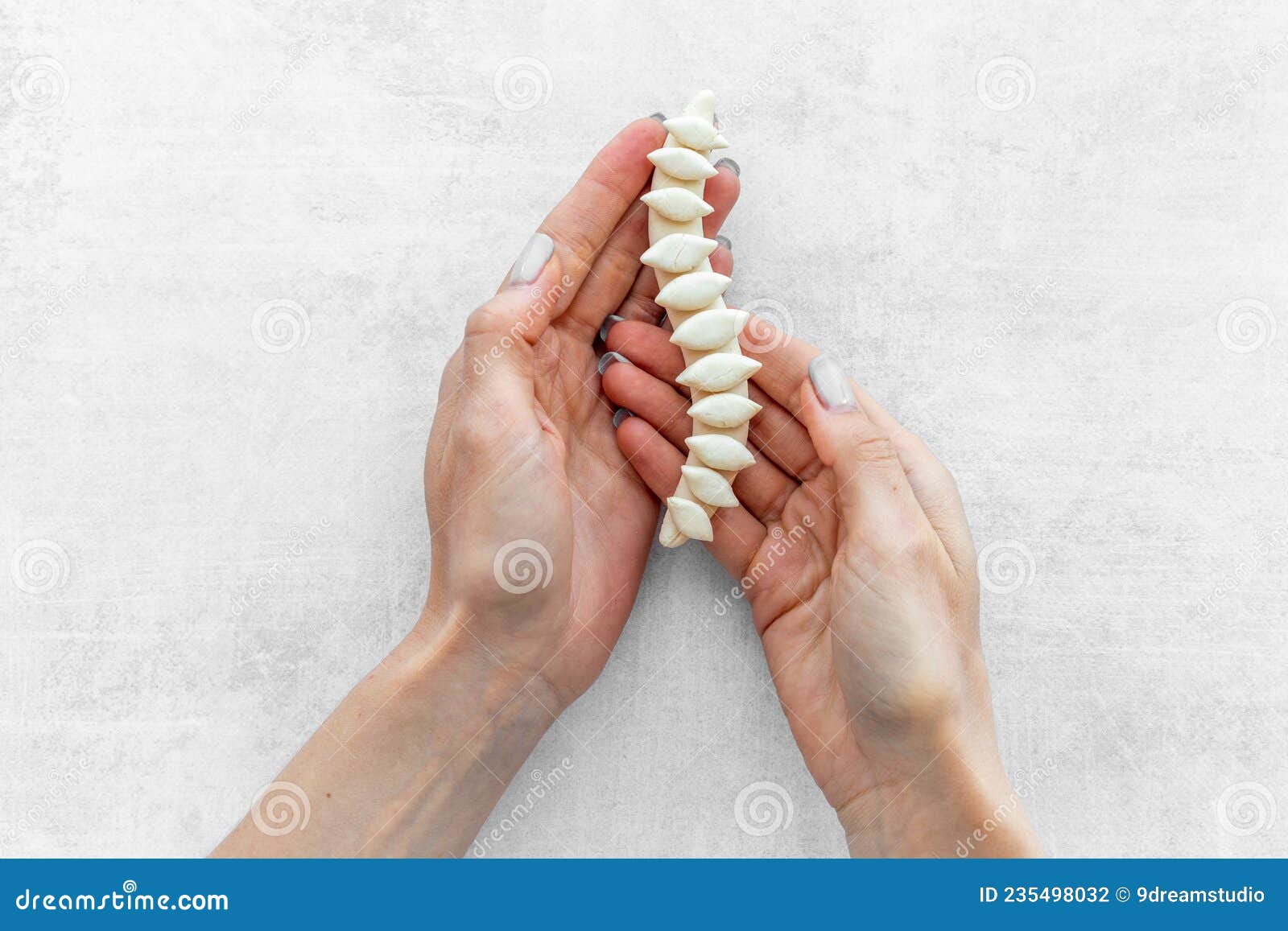 Human Spinal Column in Hands. Spinal Health and Diseases Concept Stock ...