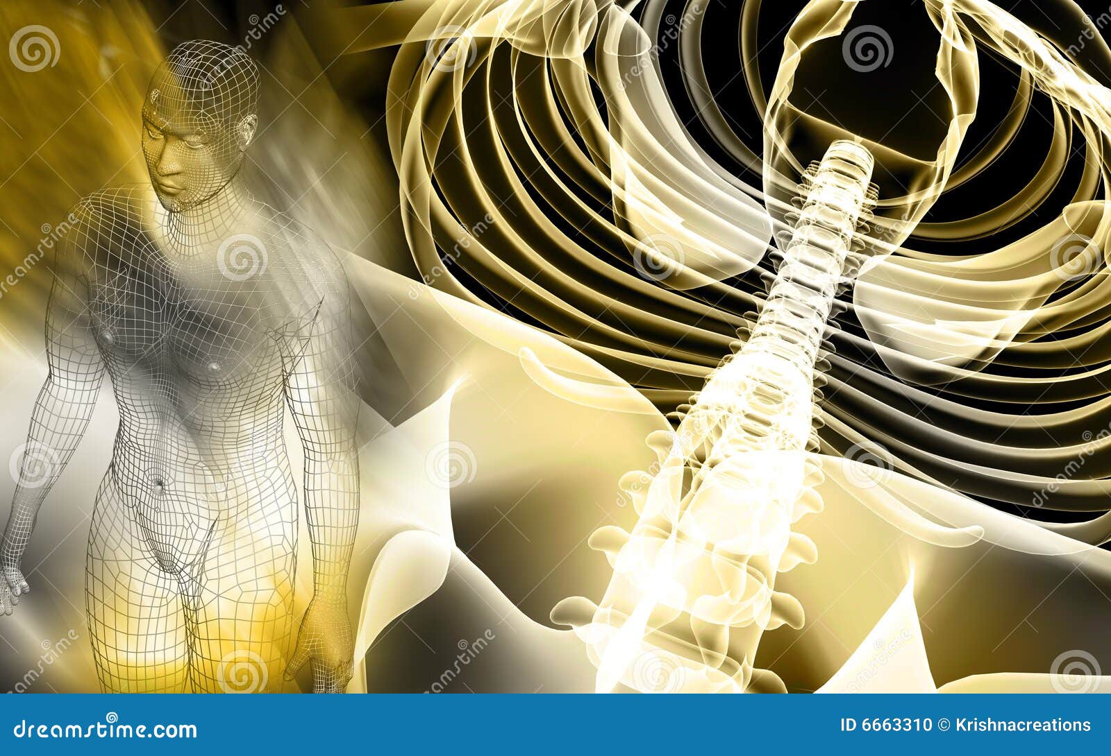 Digital Spine Stock Illustrations – 1,191 Digital Spine Stock ...