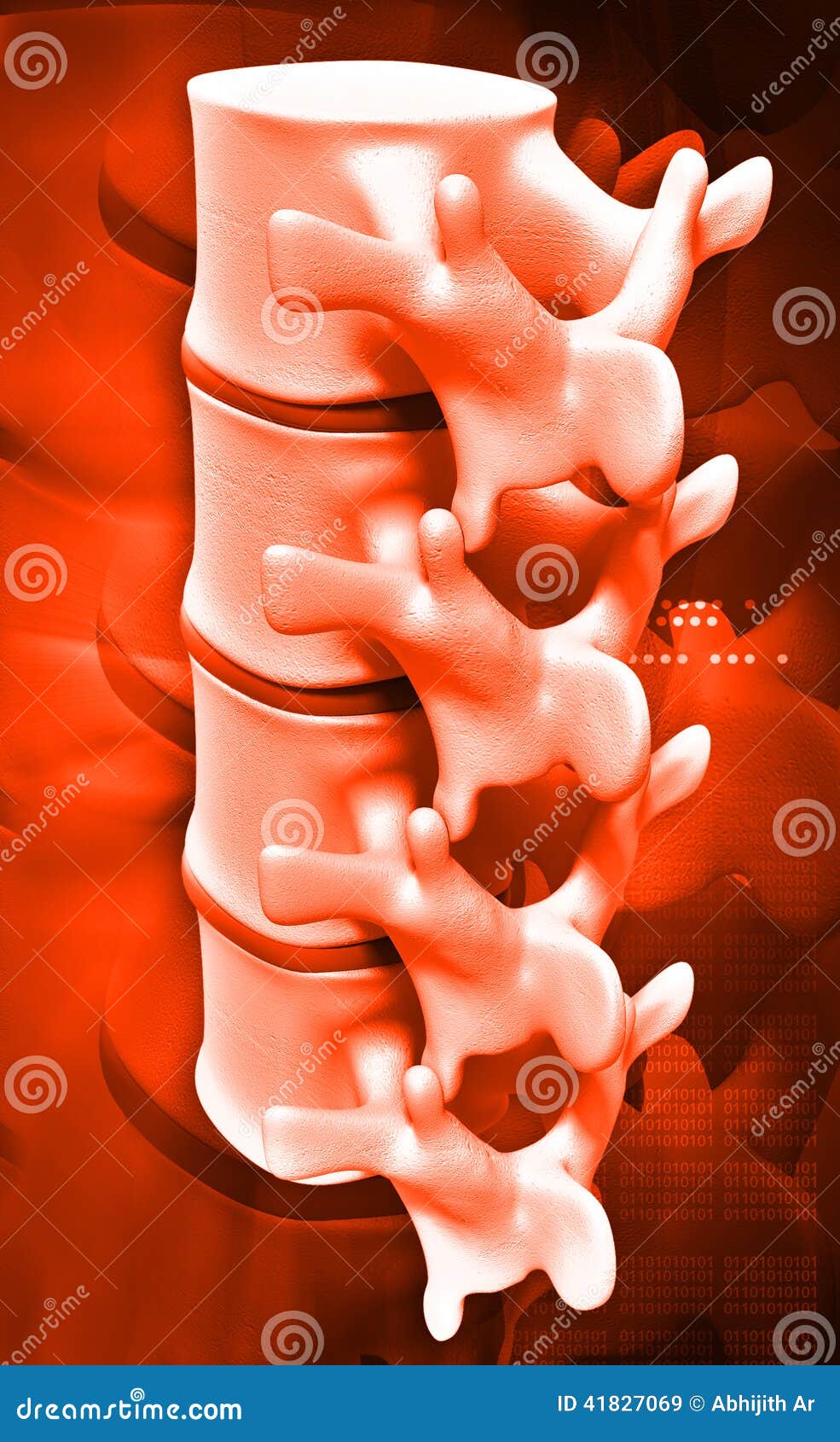 Human spine stock illustration. Illustration of background - 41827069